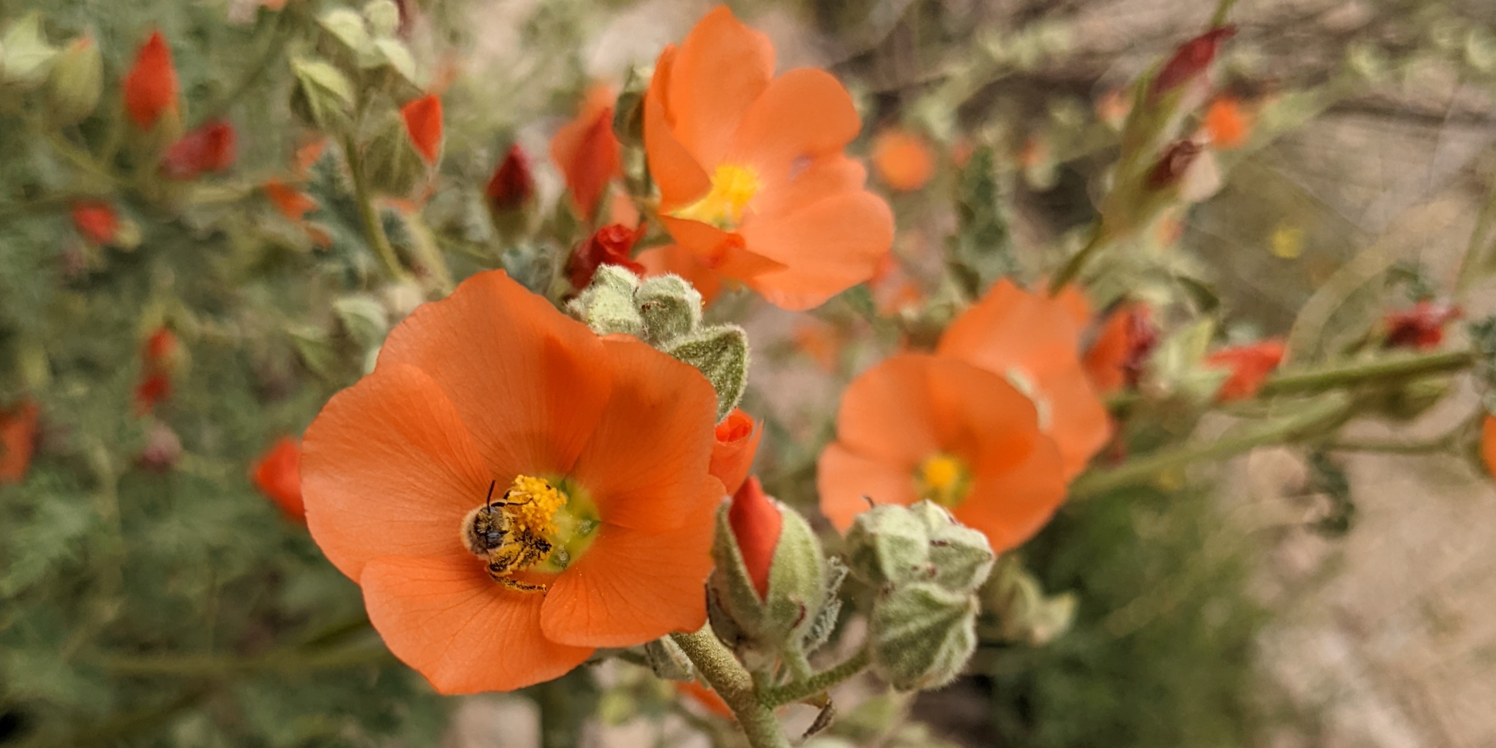 not quite a mother – the river connection.